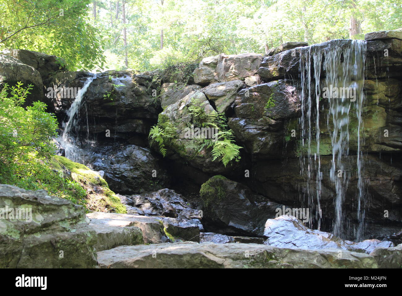 Beautiful landscape from a botanical garden Stock Photo - Alamy