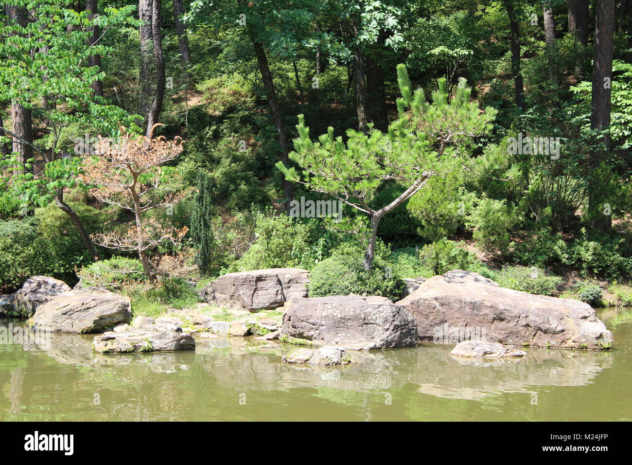 Beautiful landscape from a botanical garden Stock Photo - Alamy
