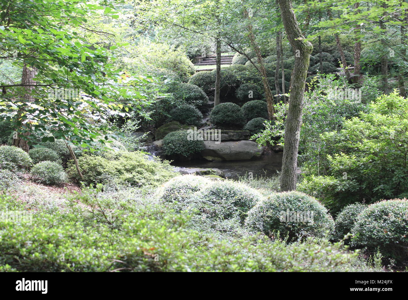 Beautiful landscape from a botanical garden Stock Photo - Alamy