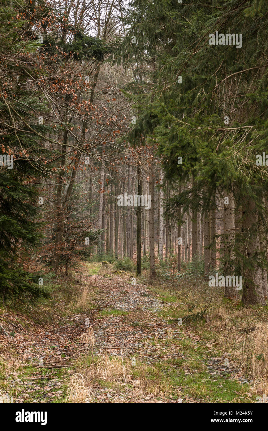 Forestry operations hi-res stock photography and images - Alamy