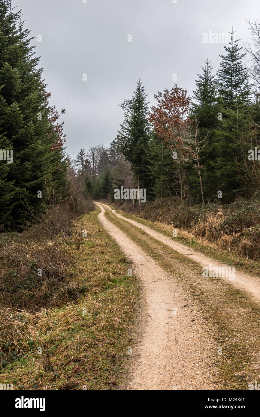 Wandering woodland hi-res stock photography and images - Alamy
