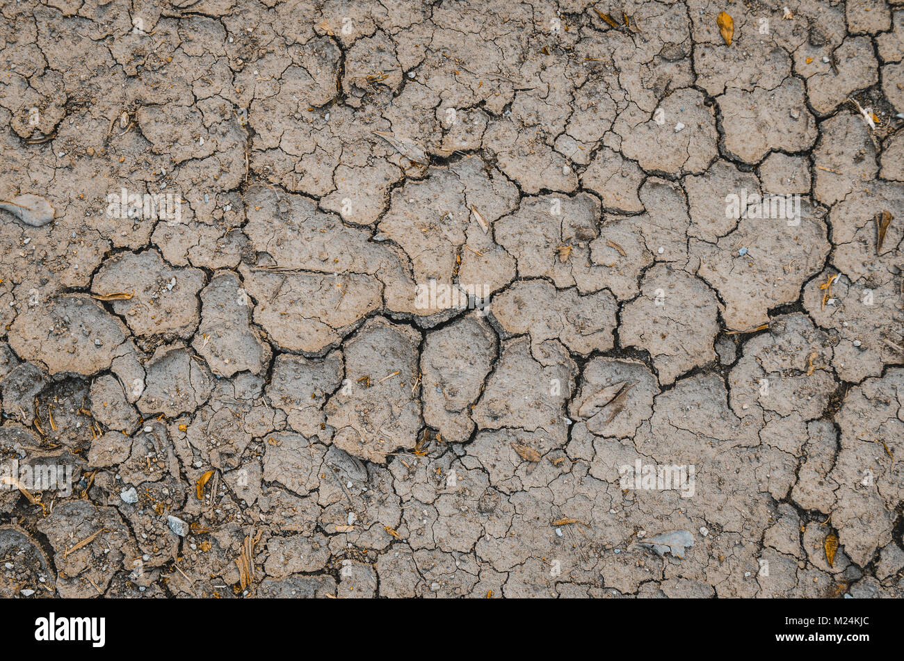 Ground in drought soil texture and dry mud Stock Photo - Alamy