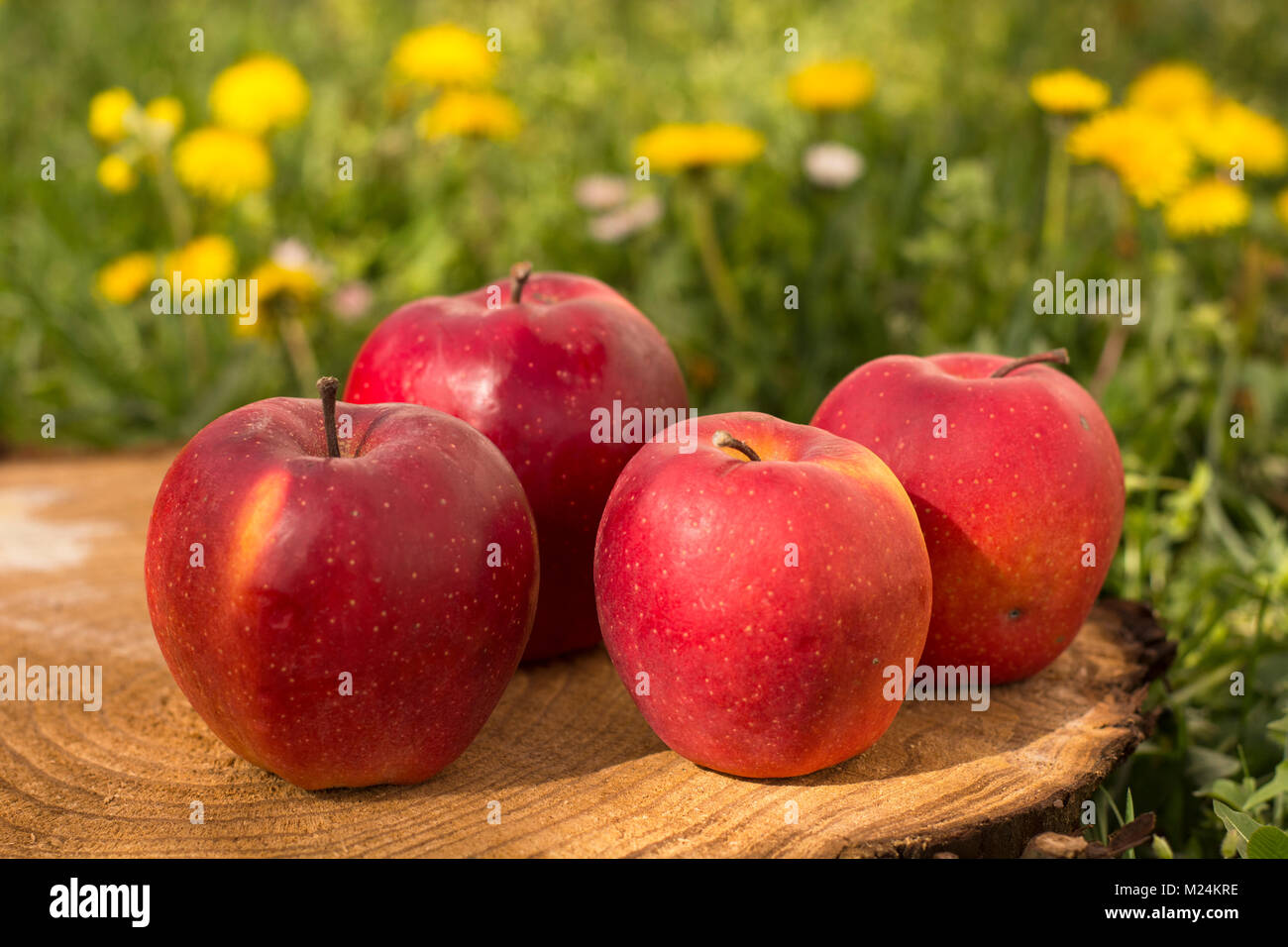 Organic red apples Stock Photo - Alamy