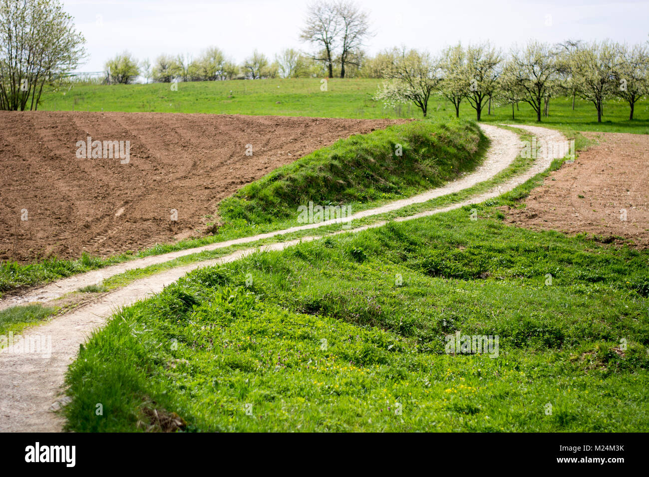 Close up of old, empty road through field Stock Photo - Alamy