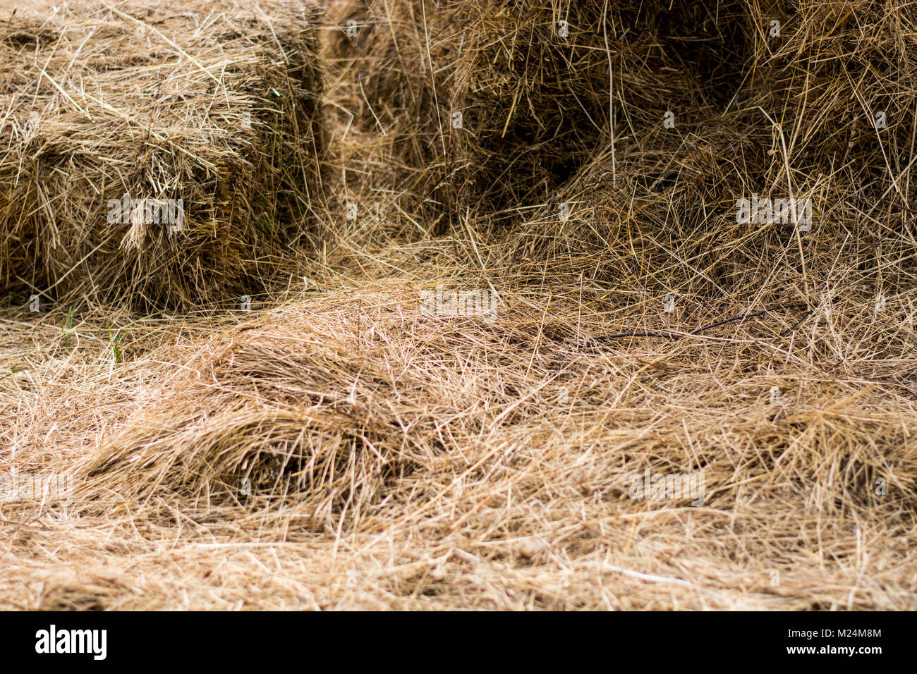 Old straw texture background Stock Photo - Alamy