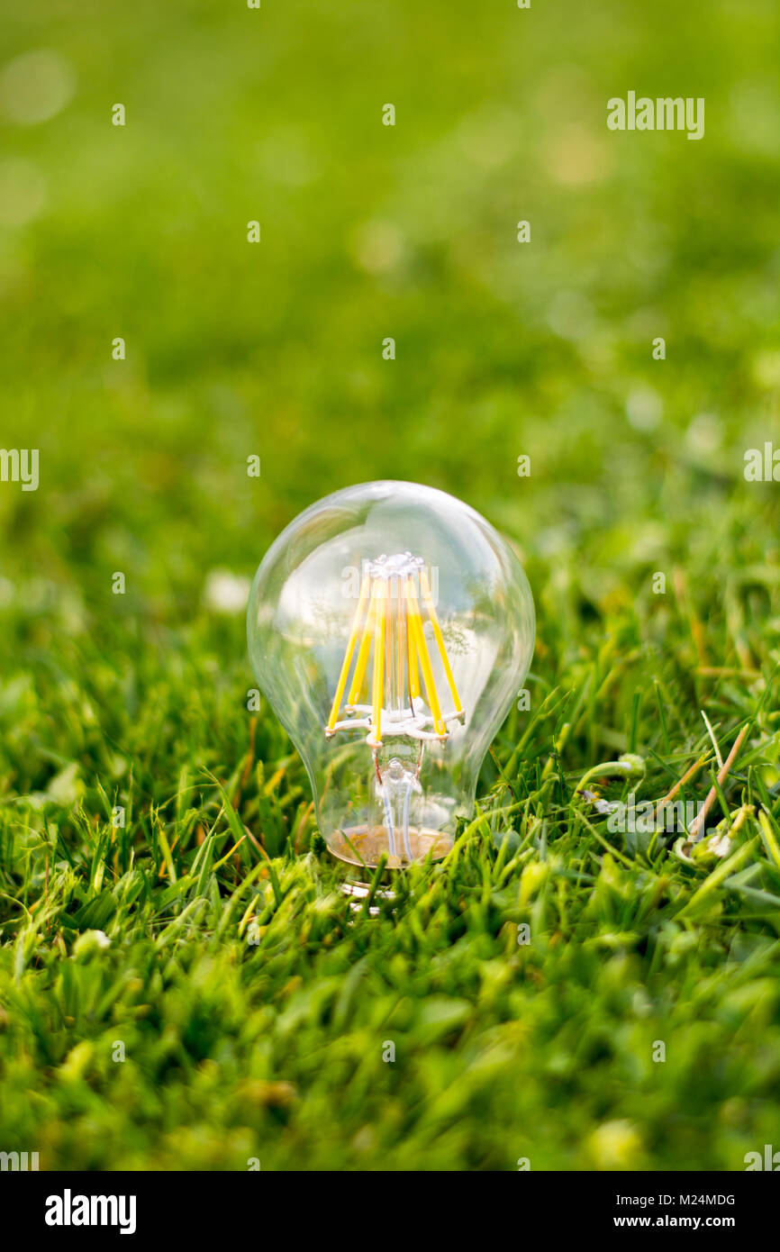 LED Light Bulb Green Environment Stock Photo - Alamy