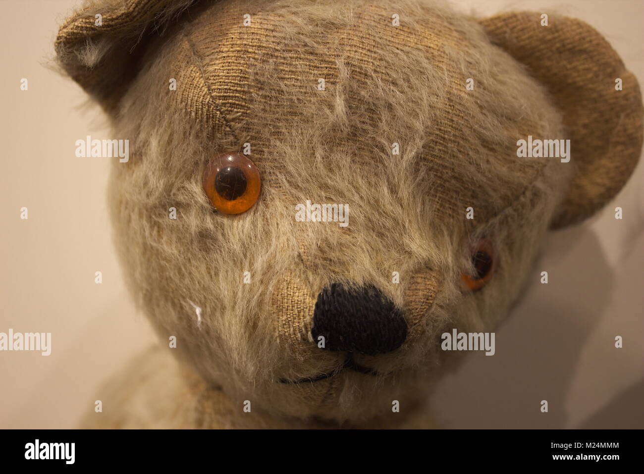 50 year old ted hi-res stock photography and images - Alamy