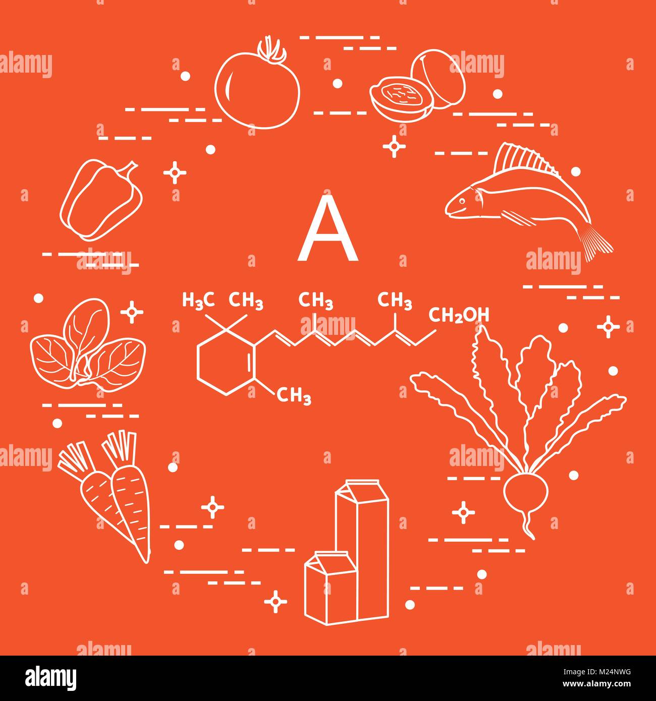 Foods rich in vitamin a Stock Vector Images - Alamy