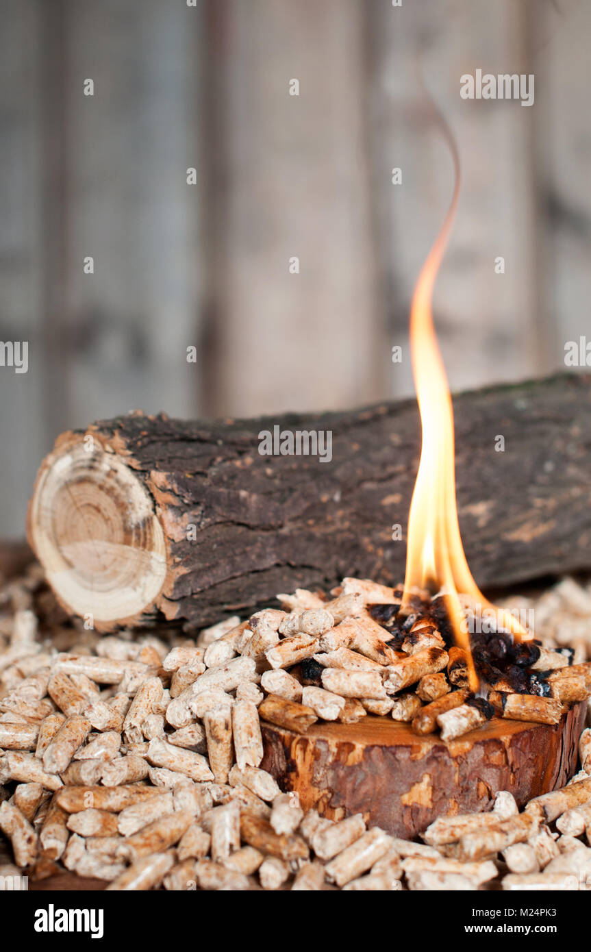 Wood infront hi-res stock photography and images - Alamy