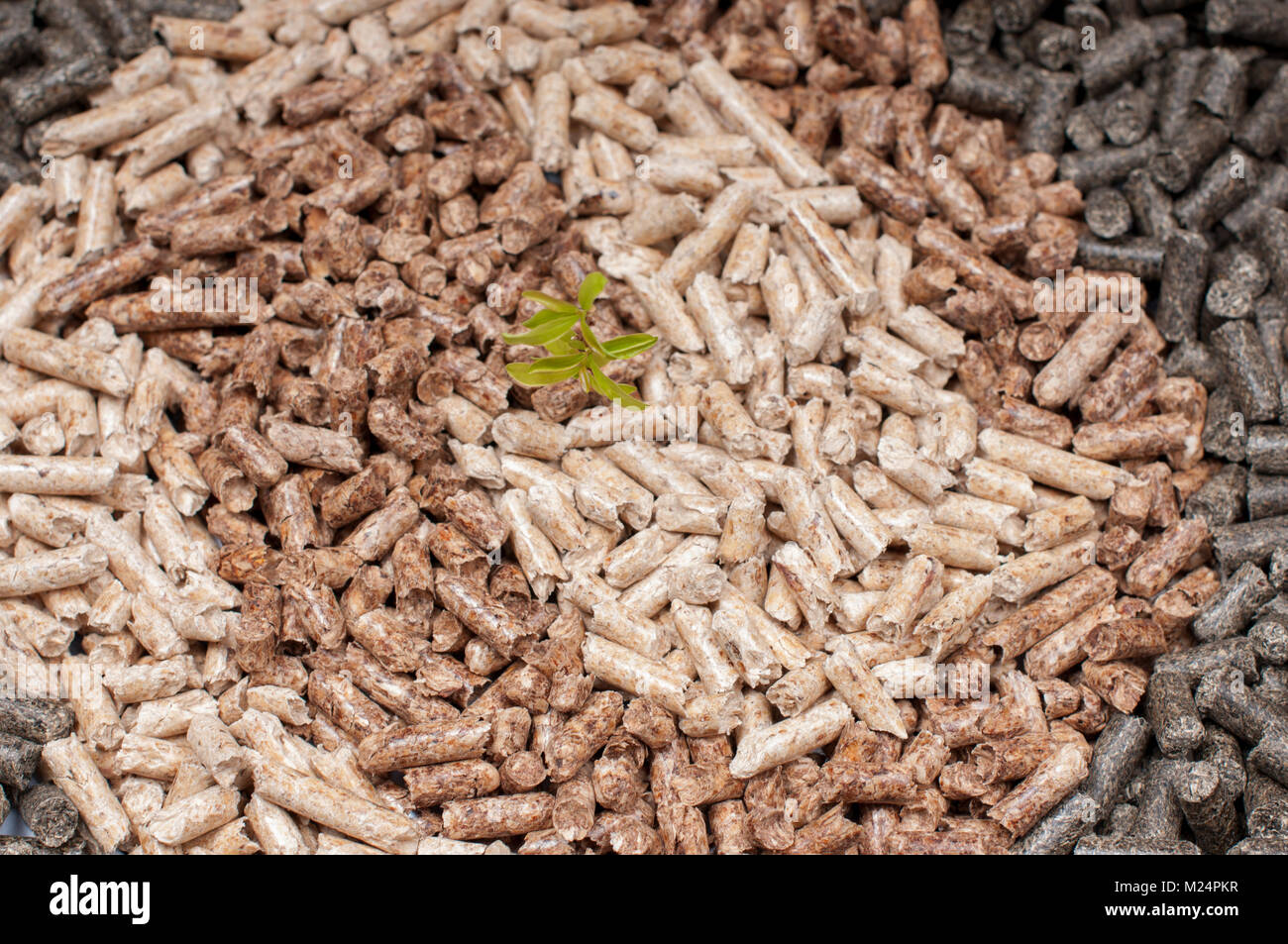 Three kind wooden biomass with young tree Stock Photo - Alamy