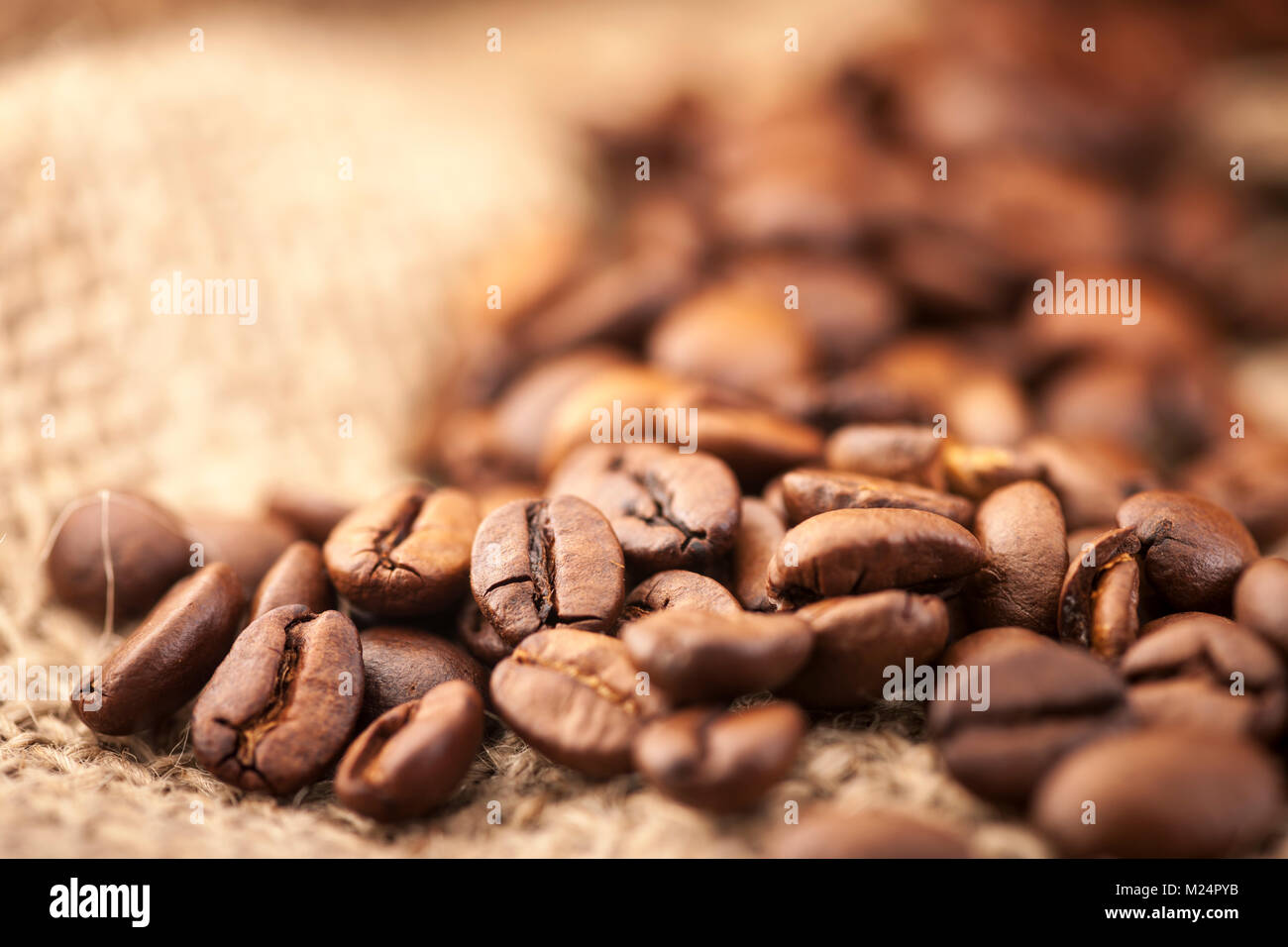 Low angle view of a small number of roasted coffee beans on coarse jute ...