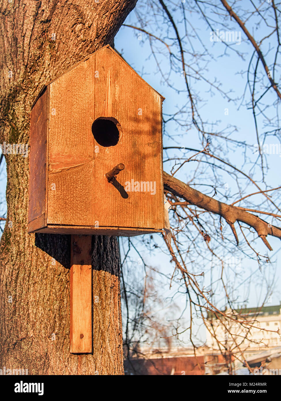 Birdhouse on the tree in the evening sunlight Stock Photo - Alamy