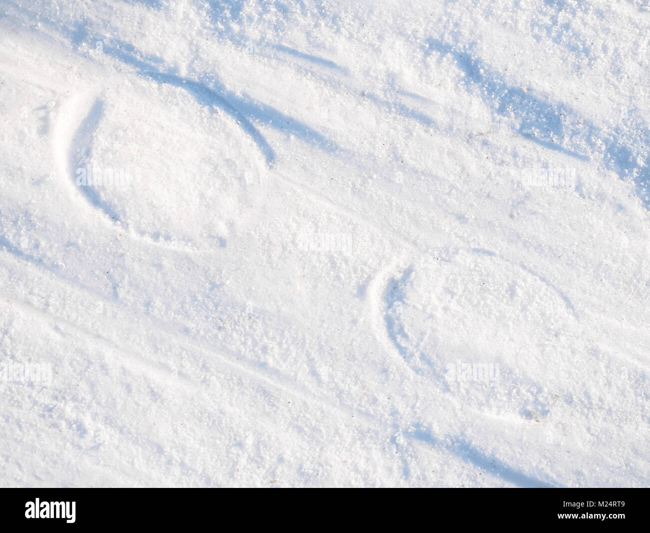 Animal footprint on snow hi-res stock photography and images - Alamy