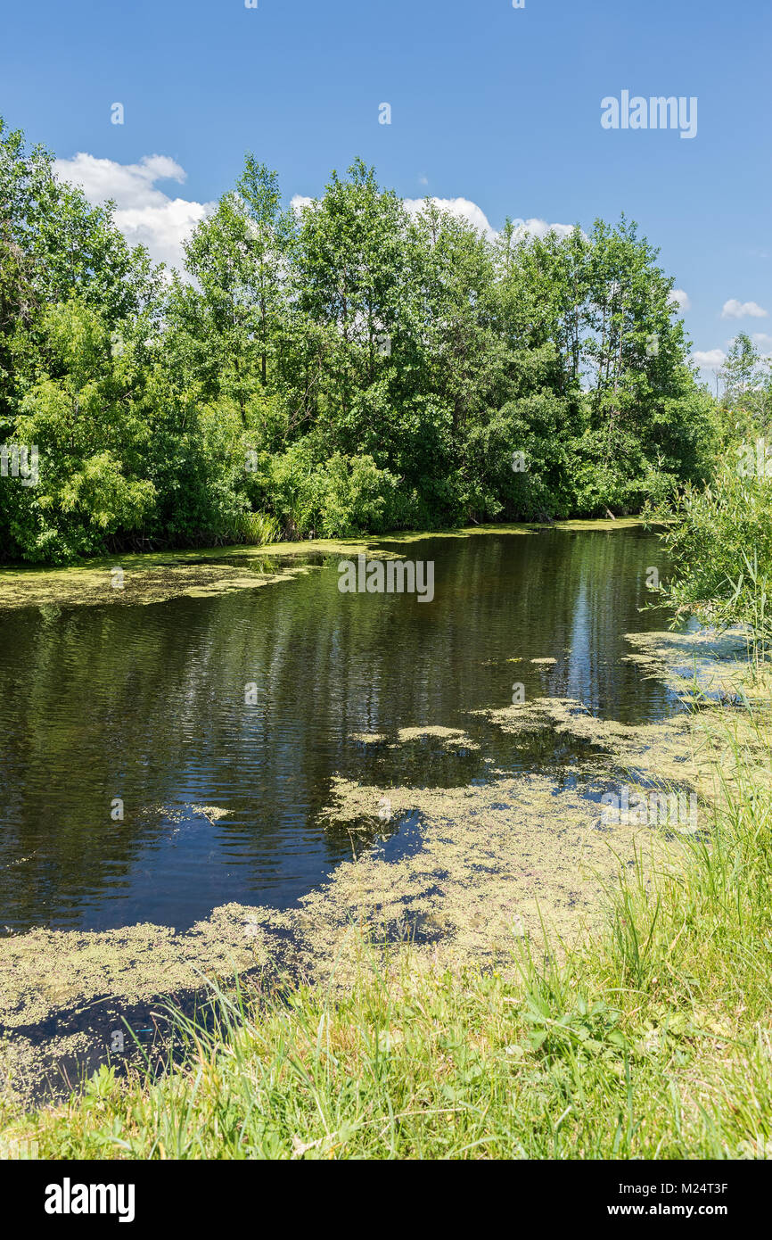 Small river in walley hi-res stock photography and images - Alamy