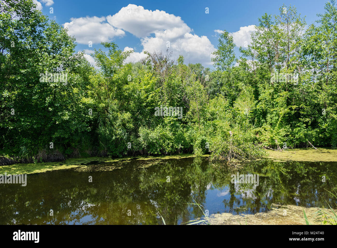 Small river in walley hi-res stock photography and images - Alamy