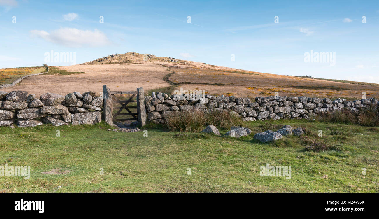 An image of a stone wall and gate leading to a pathway to Rippon Tor ...