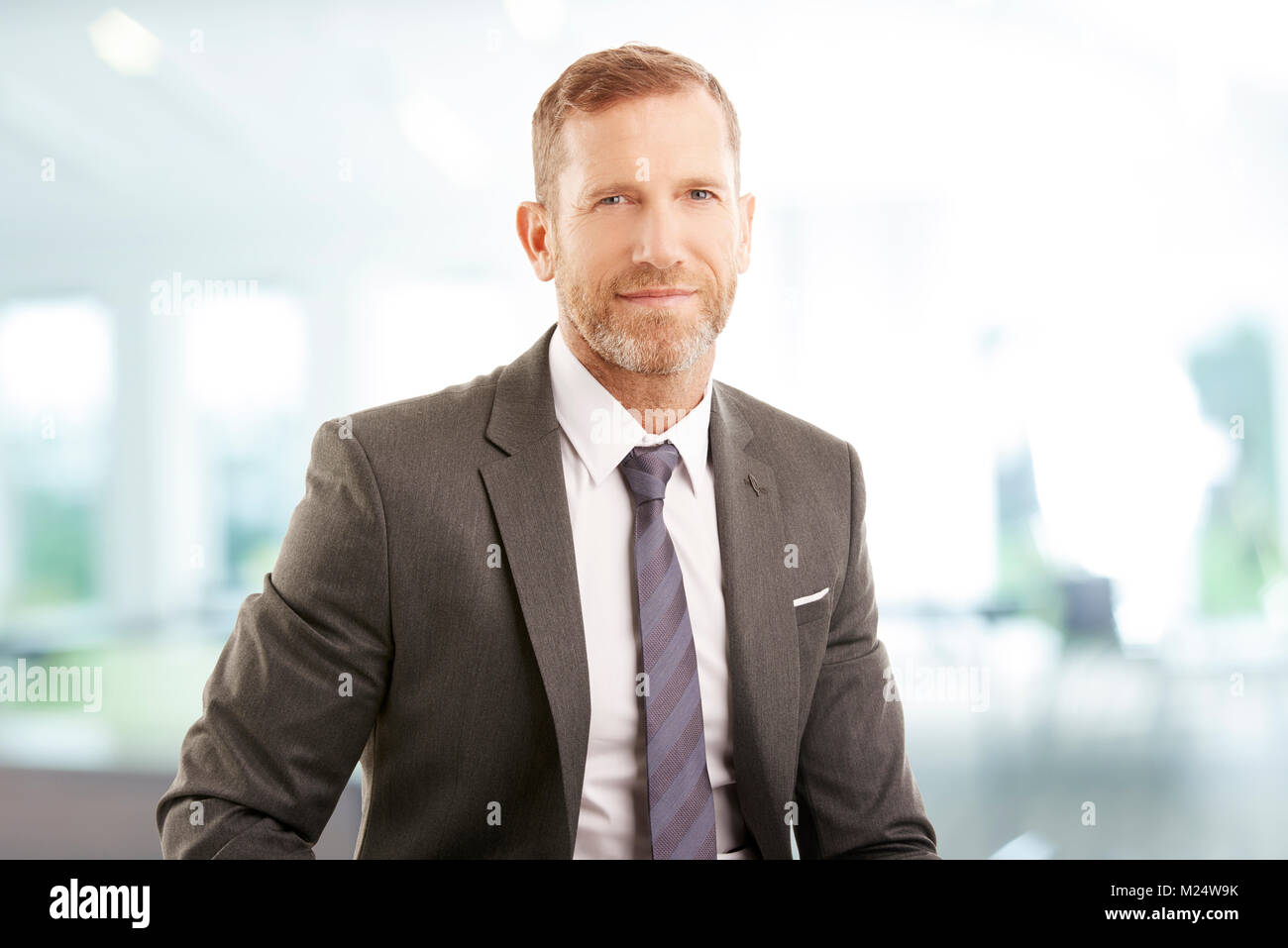 Handsome mature financial director hi-res stock photography and images ...
