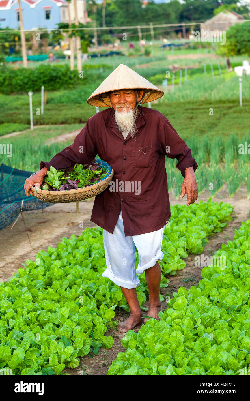 Old vietnamese man white beard hi-res stock photography and images - Alamy