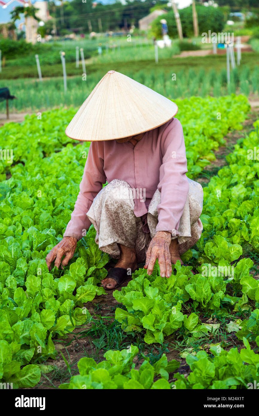 Old woman bent hi-res stock photography and images - Alamy