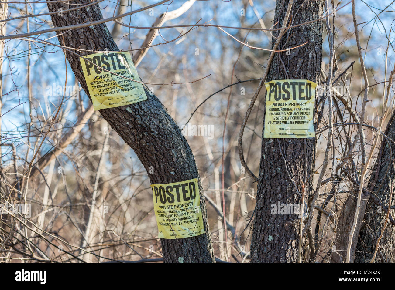 three signs in a tree, posted private property Stock Photo - Alamy