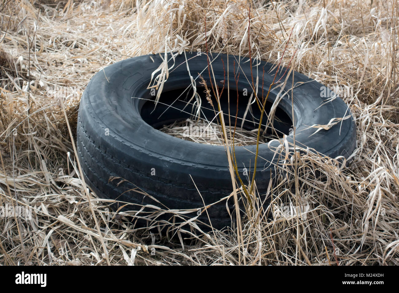 Rubber tyre on grass hi-res stock photography and images - Alamy