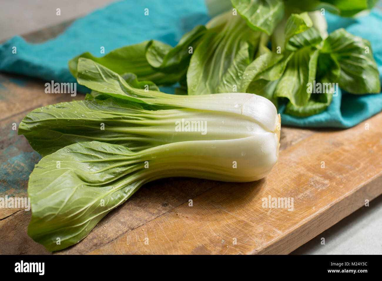 Fresh raw baby Bok choy or pak choi Chinese cabbage close up Stock ...