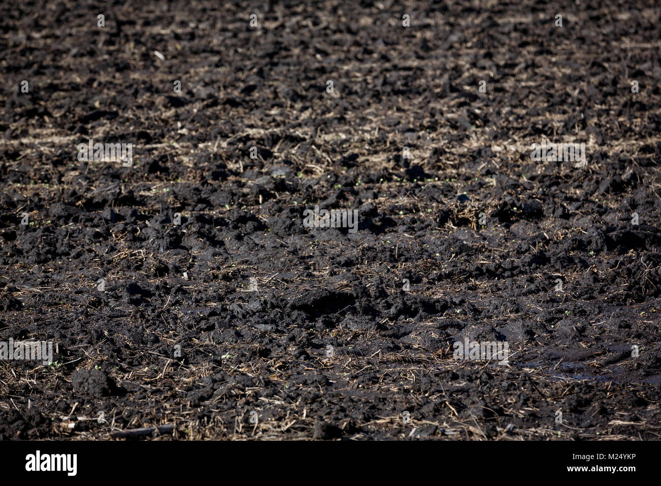 A recently plowed field of soil Stock Photo - Alamy