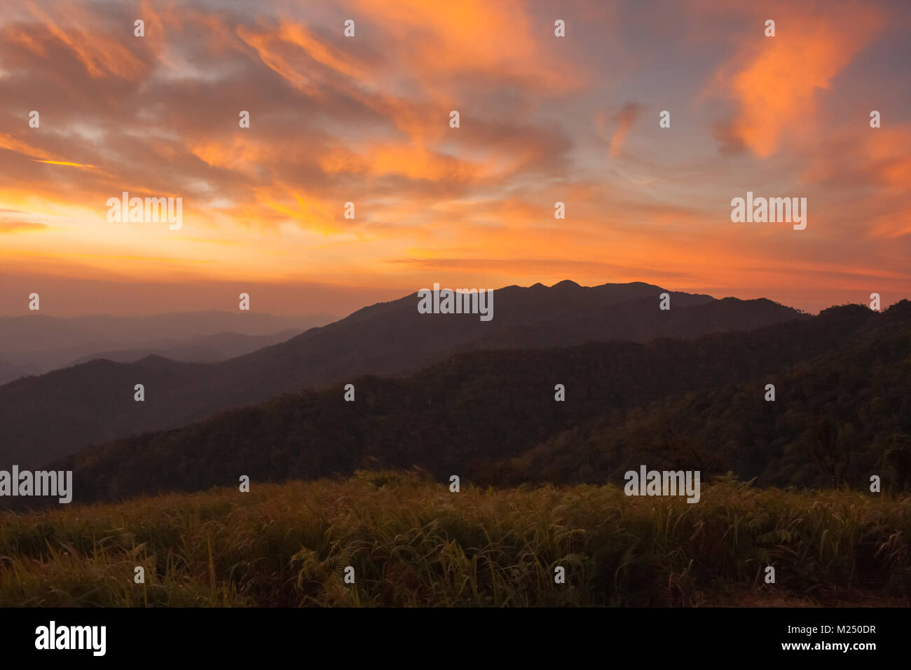 Sunset sky background. Dramatic sunset sky with evening sky clouds lit ...