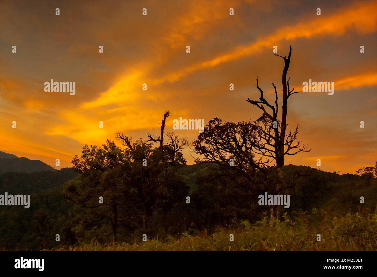 Sunset sky background. Dramatic sunset sky with evening sky clouds lit ...