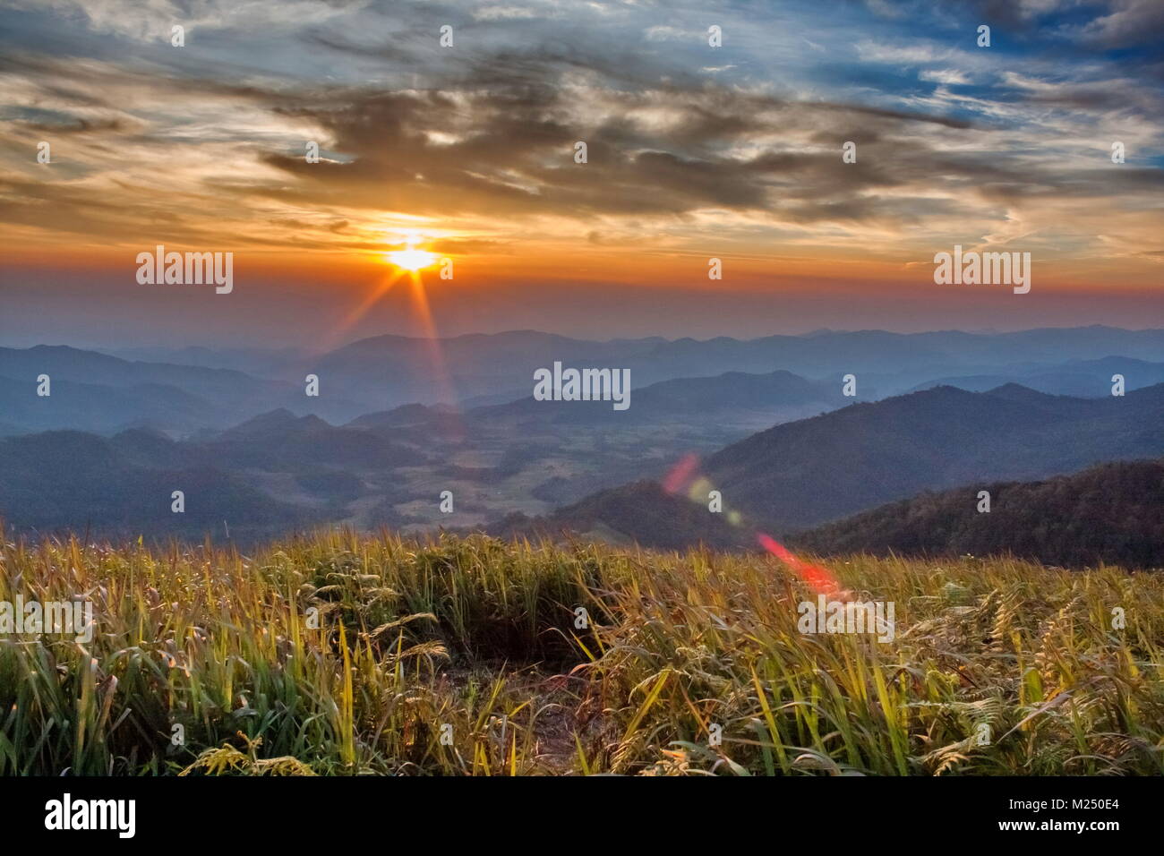 Sunset sky background. Dramatic sunset sky with evening sky clouds lit ...