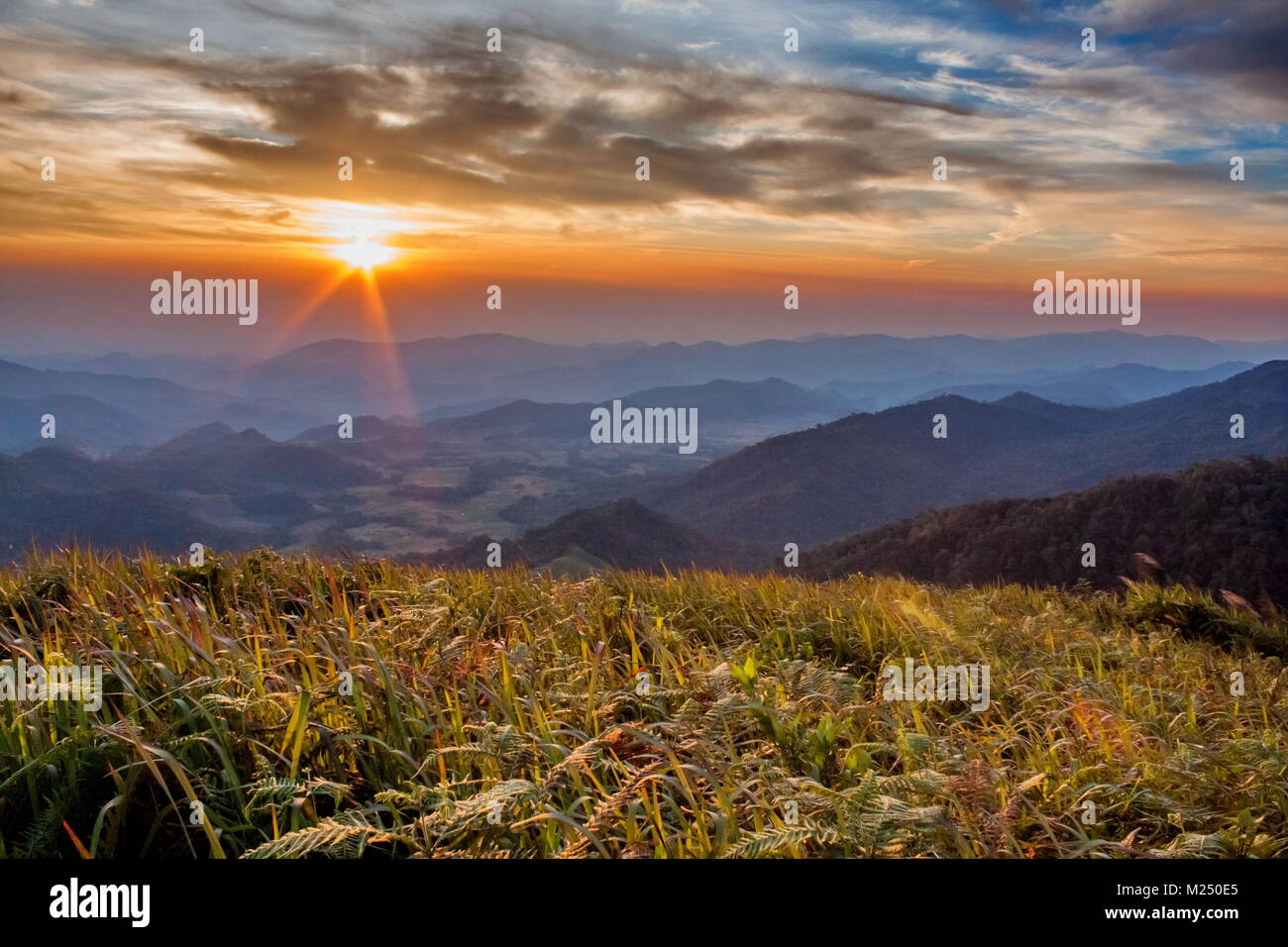 Sunset sky background. Dramatic sunset sky with evening sky clouds lit ...