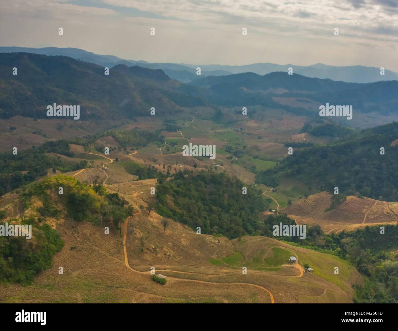 Deforestation, logging,environmental destruction. Aerial view Stock ...