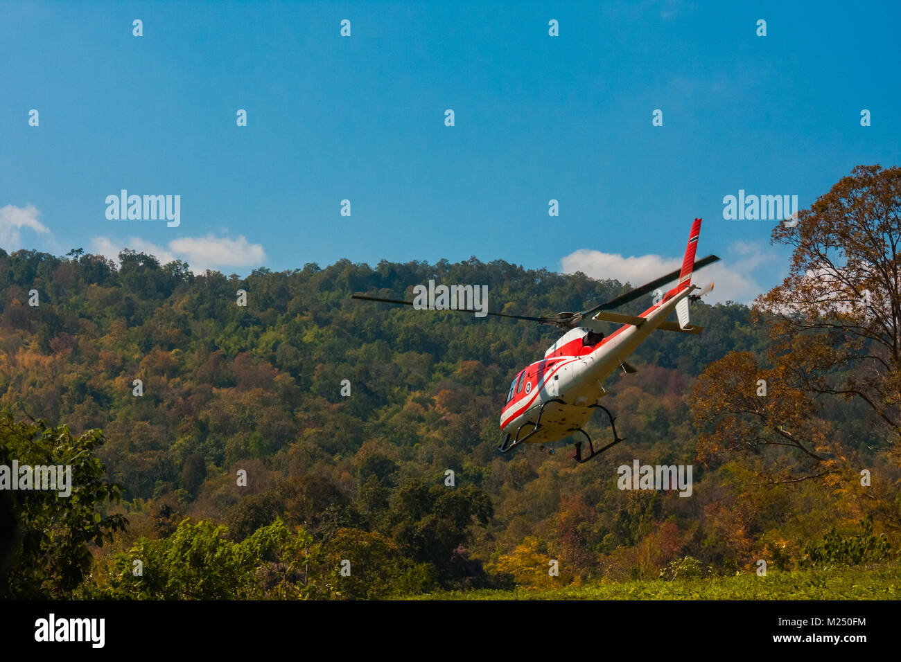 Military helicopter flying over forest hi-res stock photography and ...
