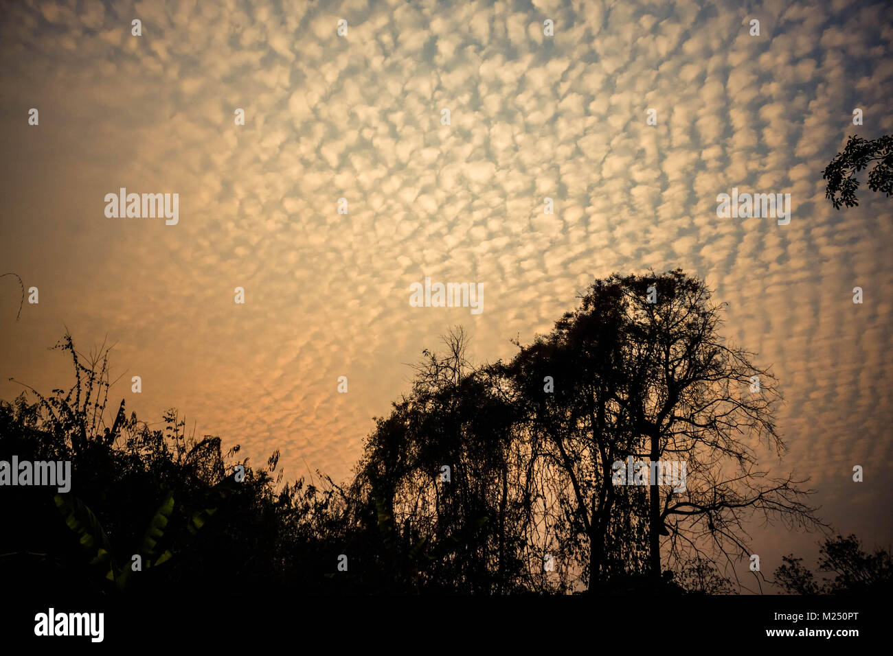 Sunset sky background. Dramatic sunset sky with evening sky clouds lit ...