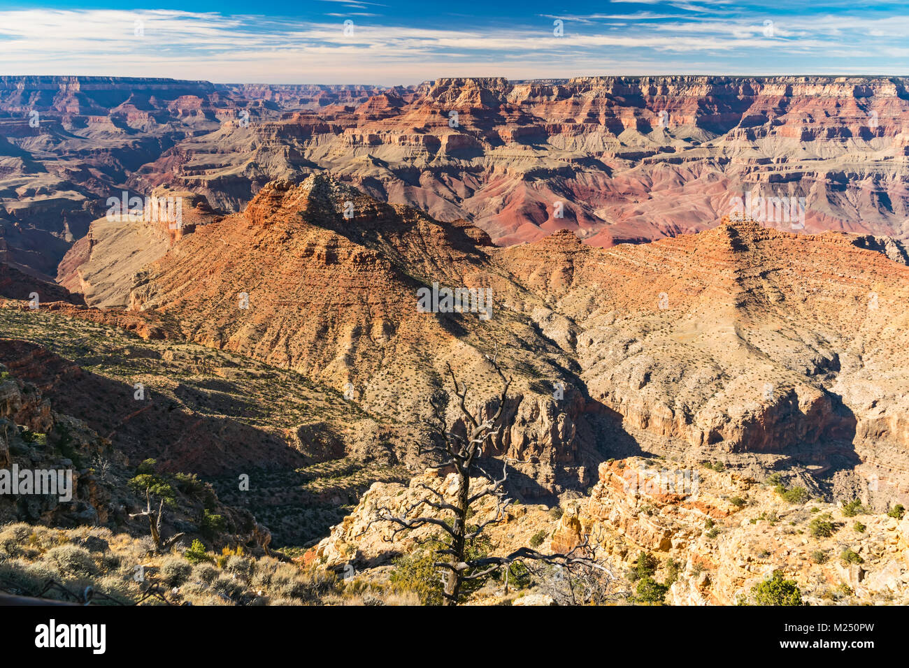 Amazing panoramic picture of the Grand Canyon National Park, Arizona ...