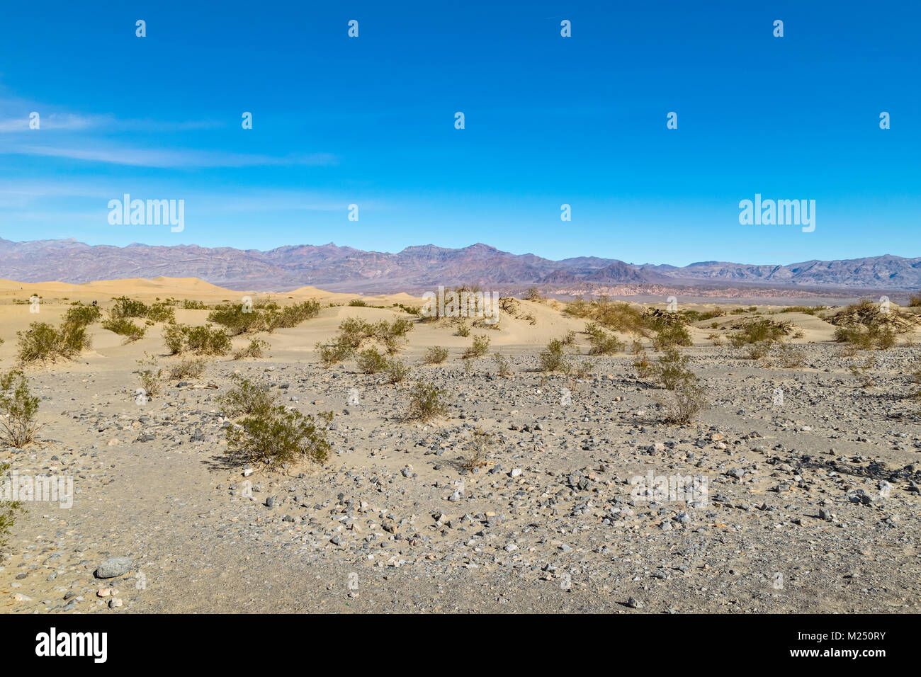 Amazing picture of the desert and blue sky in Arizona, US Stock Photo ...