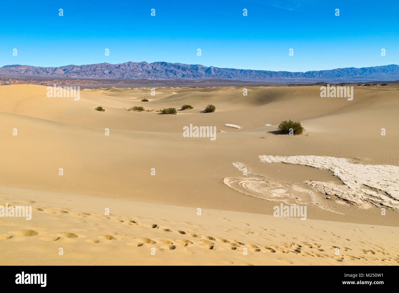 Amazing picture of the desert and blue sky in Arizona, US Stock Photo ...