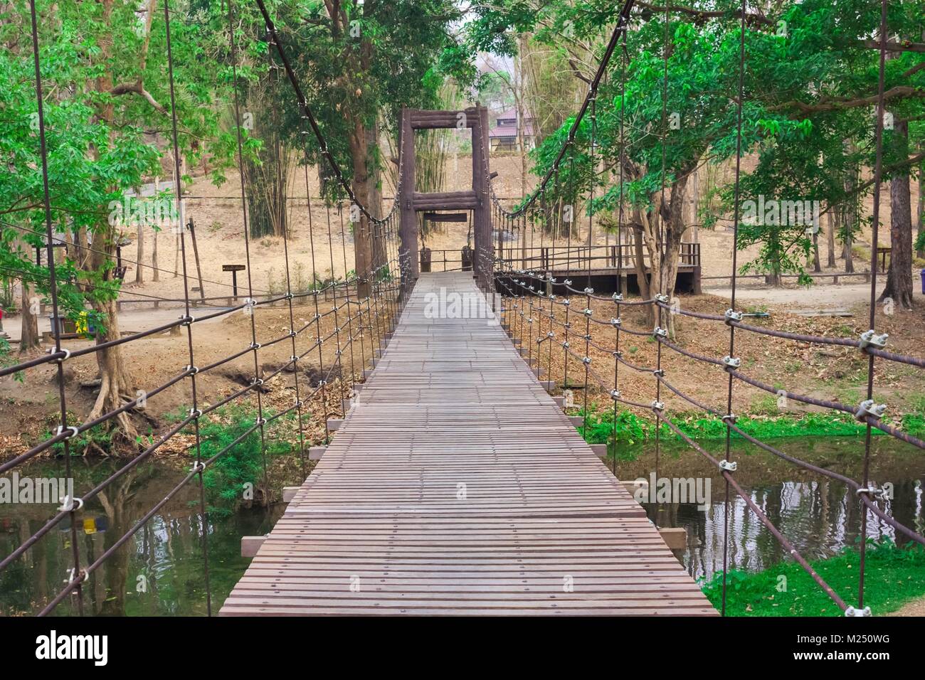 Trial path with wooden bridge in the woods Stock Photo - Alamy