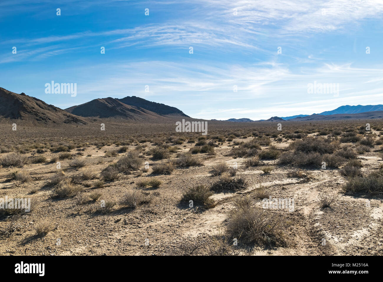 Scenic picture of the beautiful horizon in Arizona desert, USA Stock ...