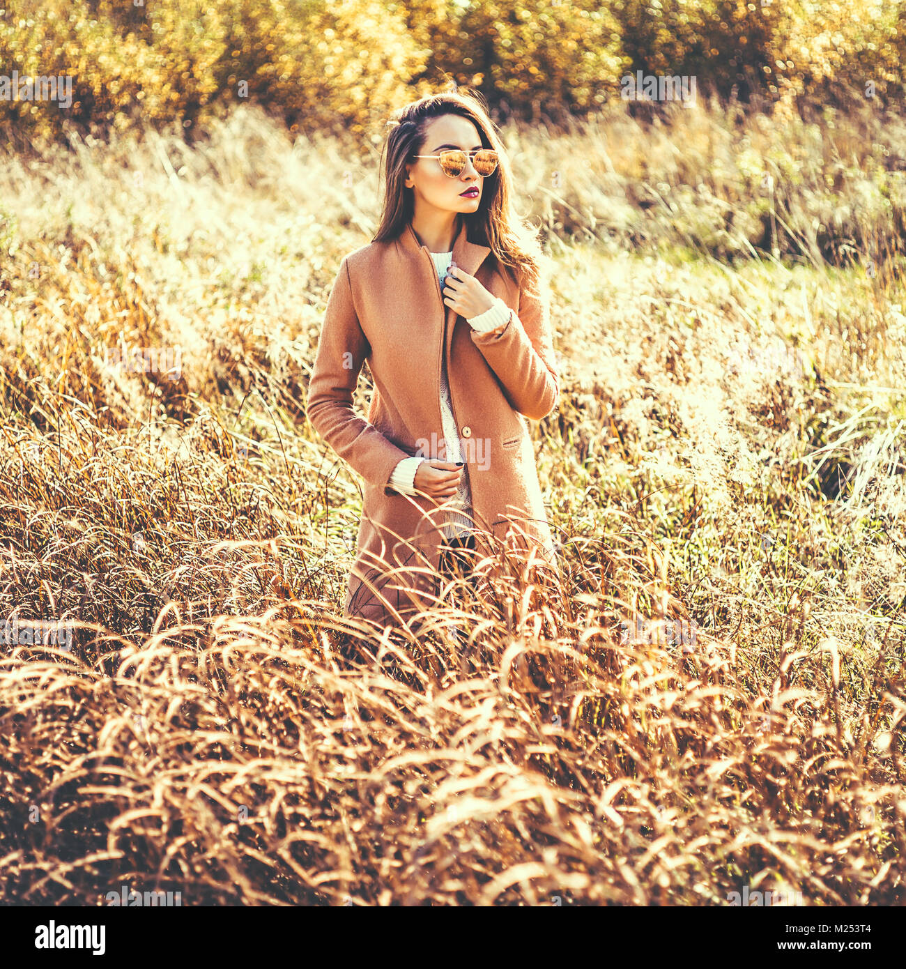 Outdoor fashion photo of young beautiful lady in autumn landscape Stock ...