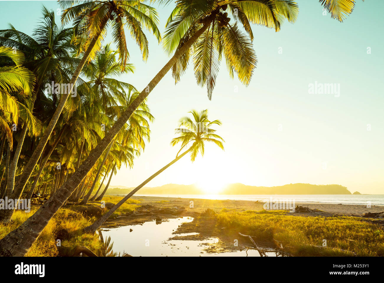 Beautiful tropical Pacific Ocean coast in Costa Rica Stock Photo - Alamy