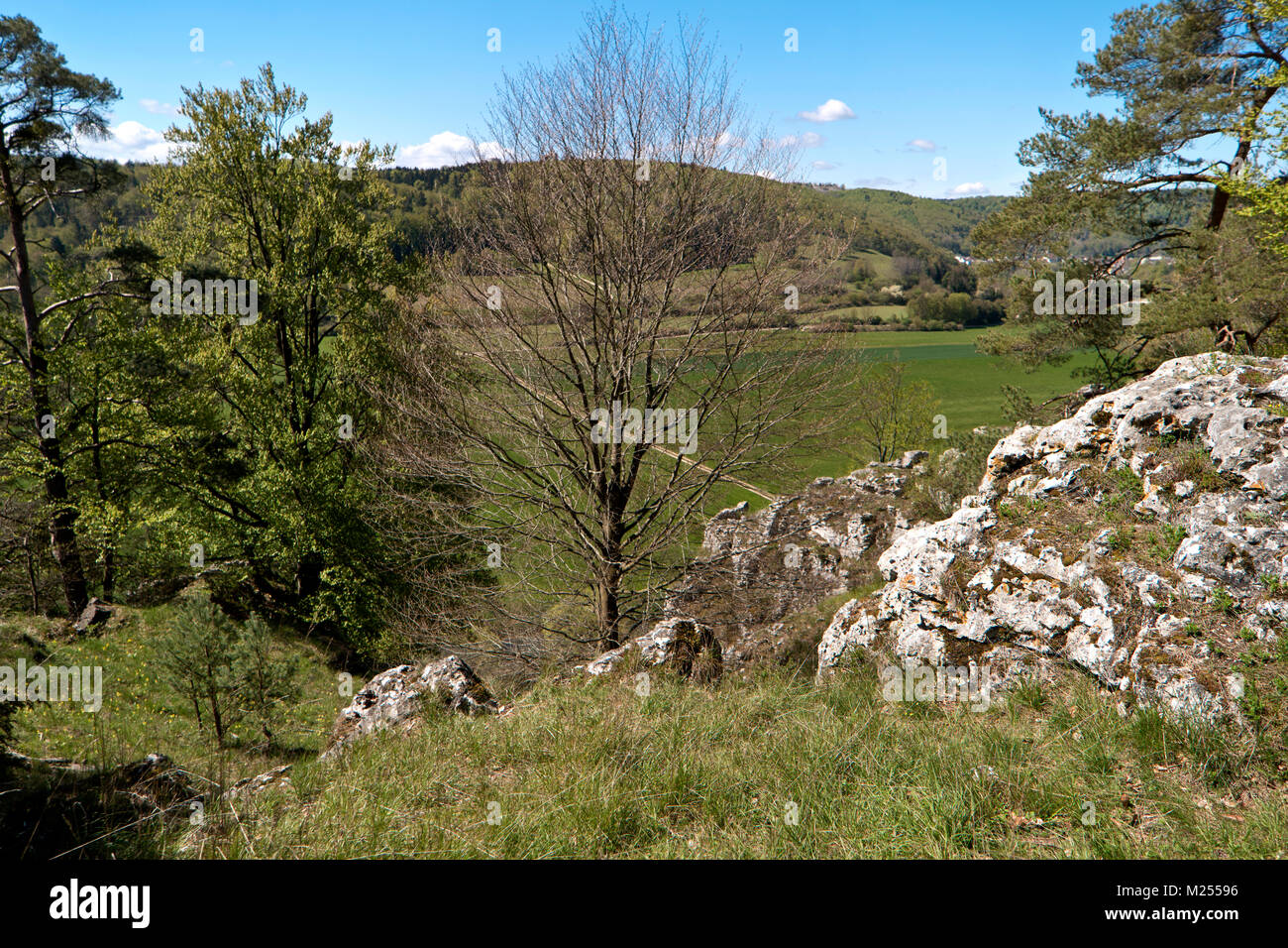 On the Altmuehltal Panorama Trail in Germany Stock Photo - Alamy