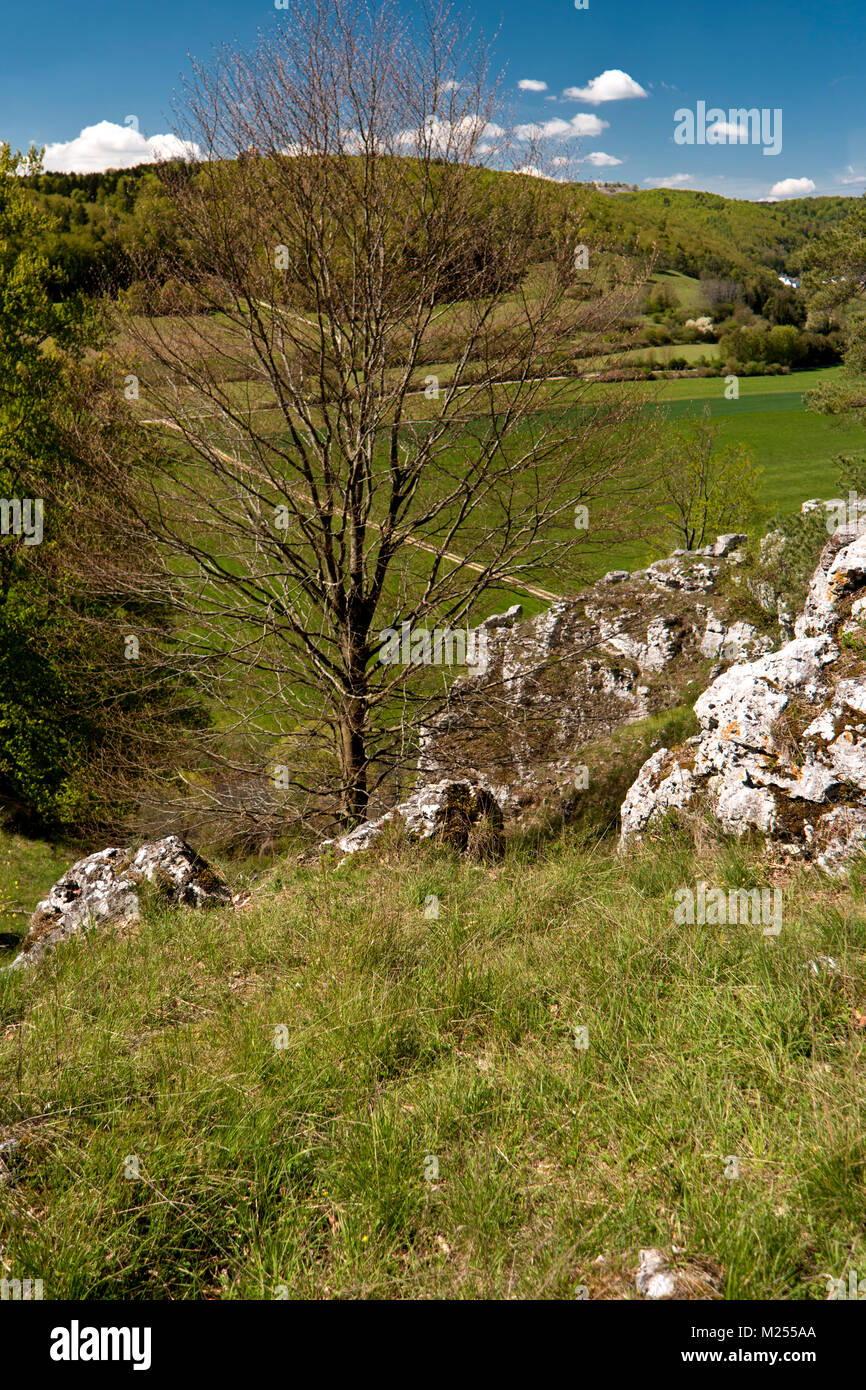 On the Altmuehltal Panorama Trail in Germany Stock Photo - Alamy