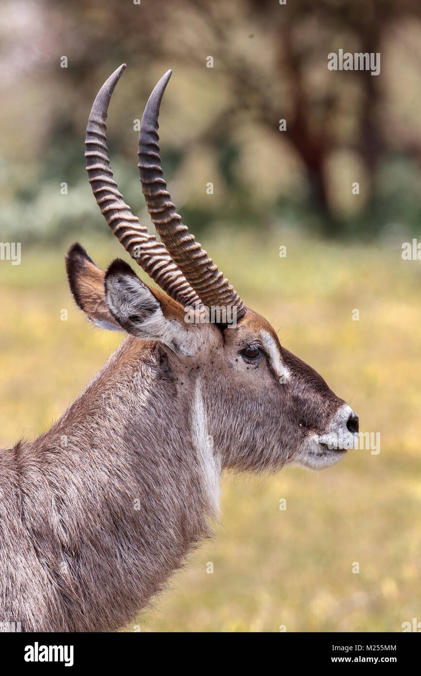 Malawi lake family hi-res stock photography and images - Alamy