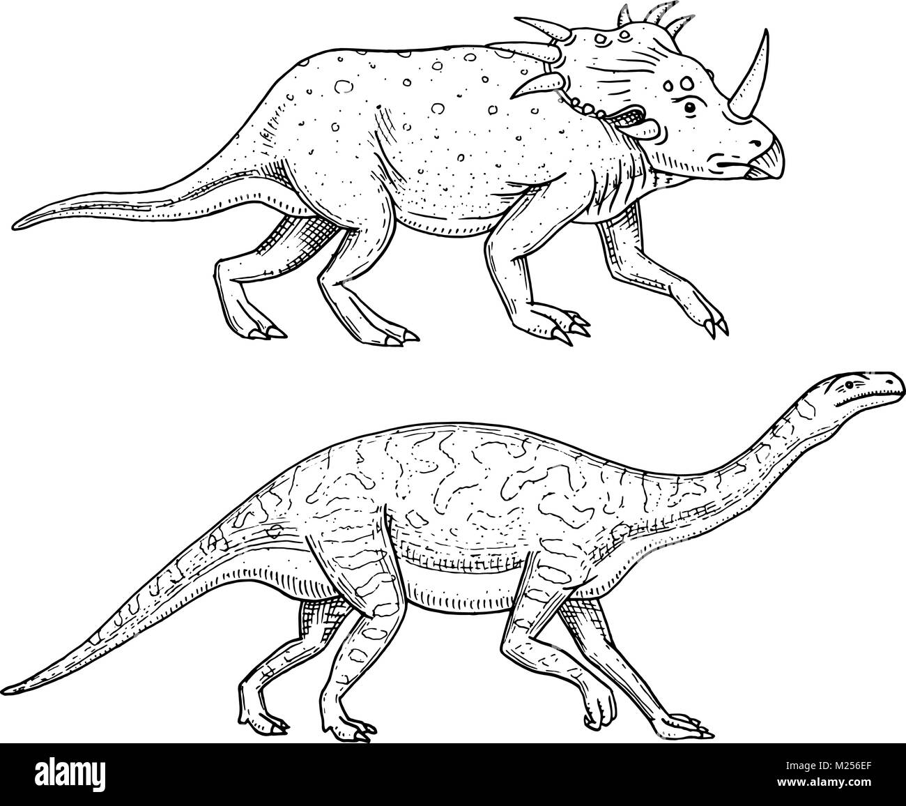 Dinosaur Triceratops, Barosaurus, Apatosaurus, Tenontosaurus ...