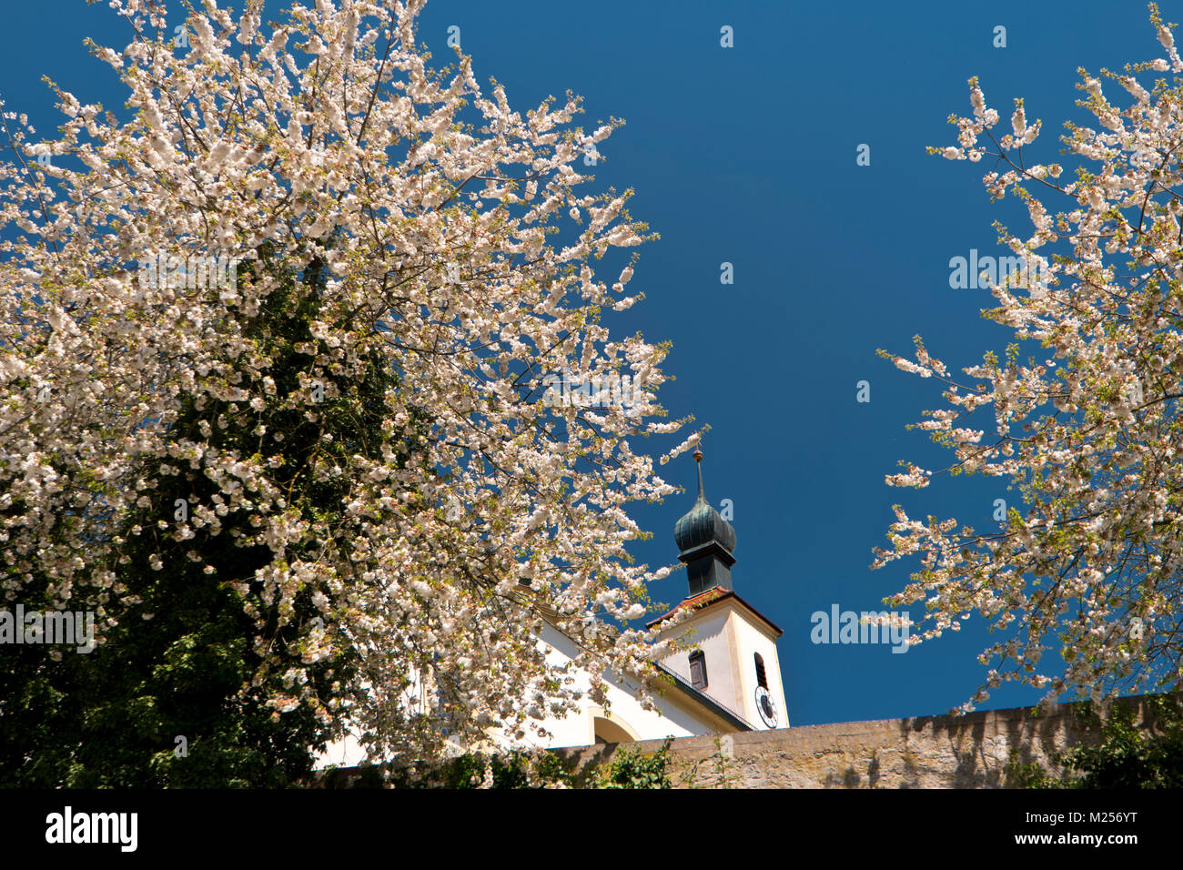 Walting hi-res stock photography and images - Alamy