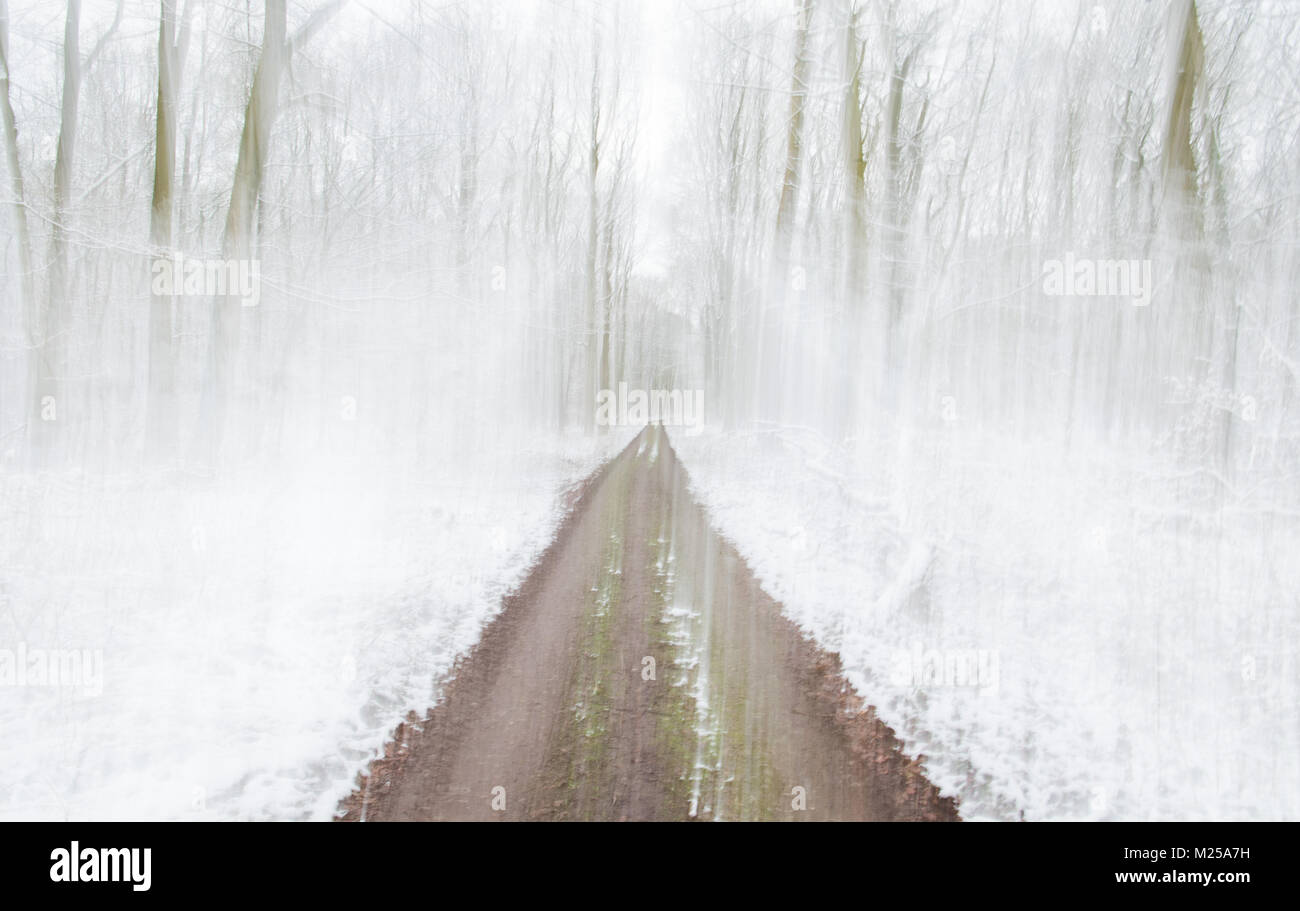 Sehnde, Germany. 05th Feb, 2018. A photograph of a snowy forest taken ...