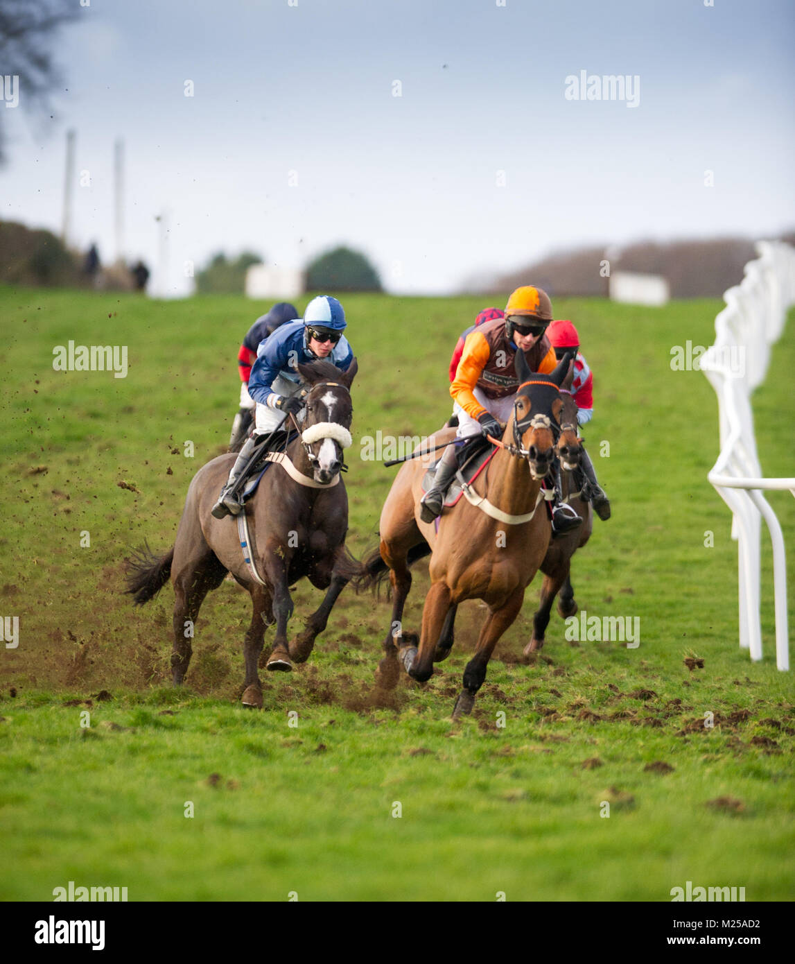 Milborne St Andrew, Dorset, UK, 4th February 2018. Horses round the ...