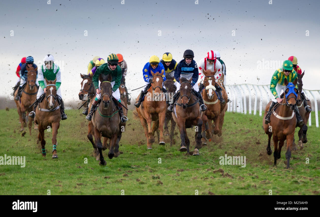 Milborne St Andrew, Dorset, UK, 4th February 2018. Horses race down the ...