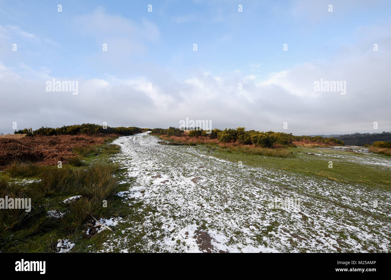 Overnight snow east sussex hi-res stock photography and images - Alamy